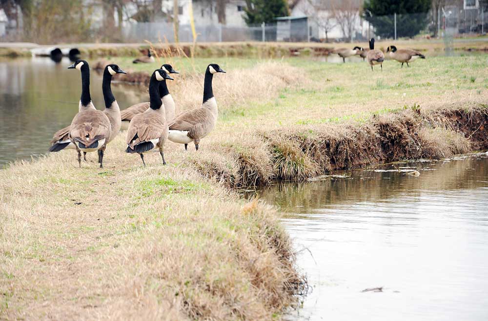 SPLOST vote just a day away, and some voters still undecided | Dalton ...