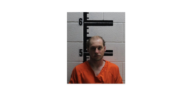 Man sentenced to life in prison for attack on girlfriend | Dalton Daily Citizen