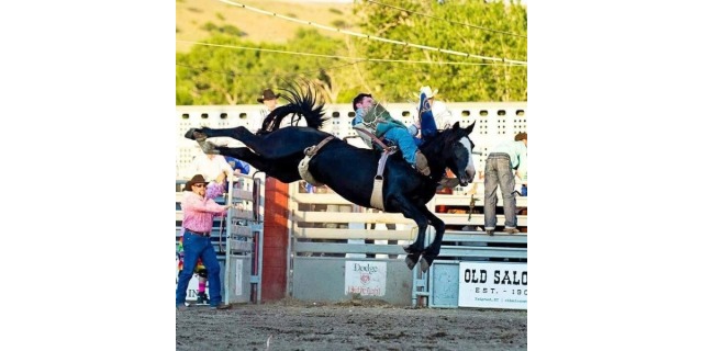 Pro rodeo returns to Dalton this weekend; nationally top-ranked competitors include two Dalton ...