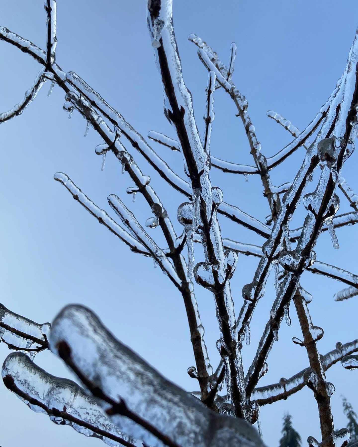 City, County Schools on 2-hour Delay Jan 27 | Dalton Daily Citizen